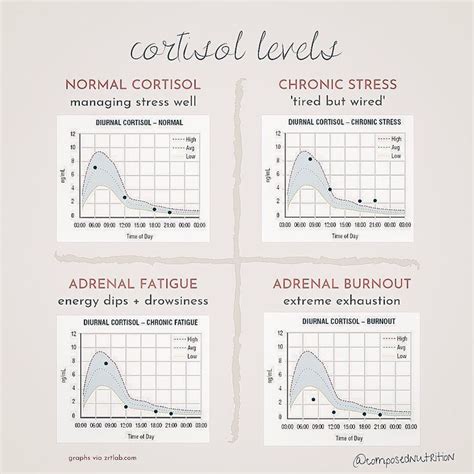Pin On Adrenal Fatigue Natural Healing
