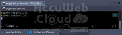 Configure Custom Environment Variables Accuwebcloud