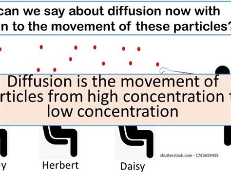 Ks3 Year 7 Organisms Topic L8 Diffusion Teaching Resources