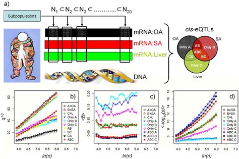 Number Of Cis Eqtls And Their Link To Sub Sample Size A Experimental Download Scientific