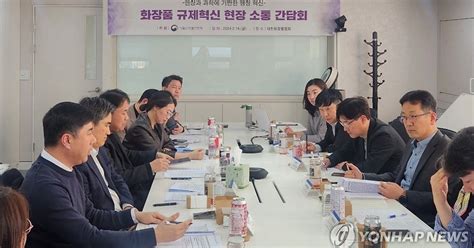 정부 국산 화장품 수출 위한 안내서·법률 정보 제공