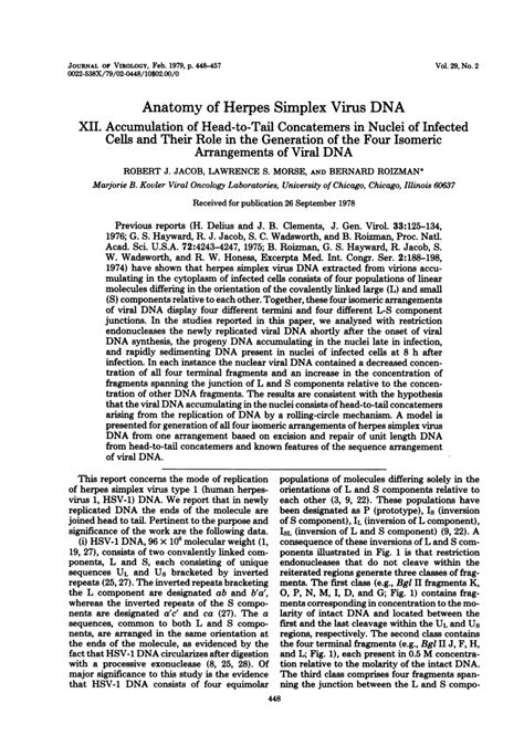 Pdf Anatomy Of Herpes Simplex Virus Dna Xii Accumulation Of Head To