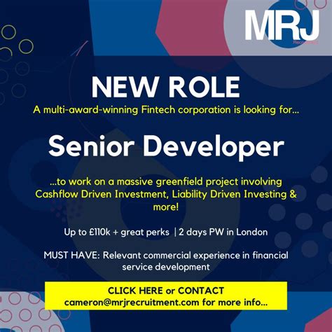 senior developer mrj recruitment
