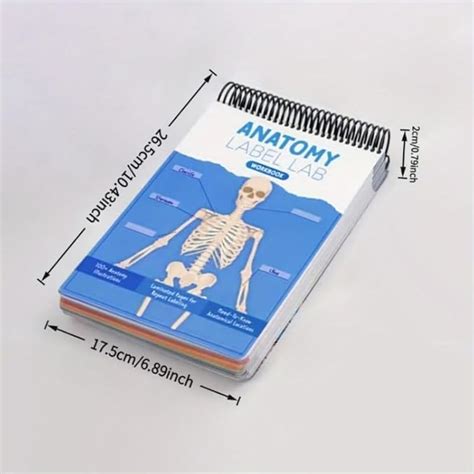 Anatomy Label Lab Workbook Nurse Notebook，100 Philippines Ubuy