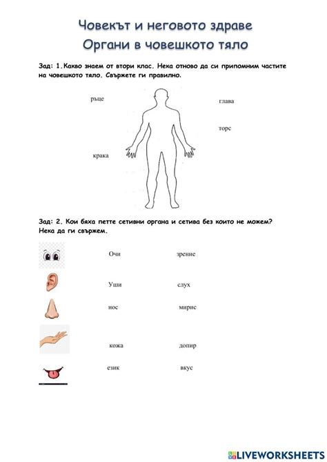 Органи в човешкото тяло Online Activity Live Worksheets