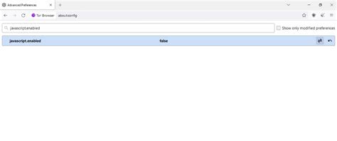How To Disable Javascript In Tor 2 Easy Methods Hiddenwiki