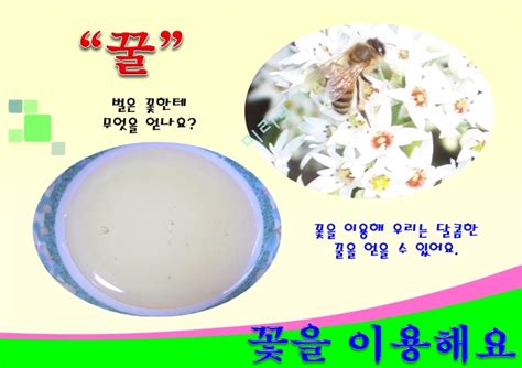 꽃을 이용해요음성녹음 이야기나누기 상호작용사범교육레포트