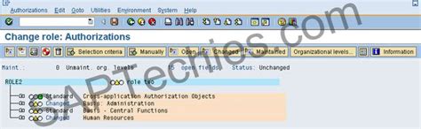Pfcg Sap Roles And Authorizations Maintenance