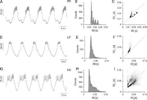 Individual Neurons Can Be Distinguished By Observing The Dynamical