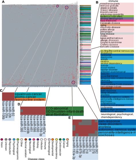 Hierarchical Clustering Of The Mirna Disease Network A Hierarchical Download Scientific
