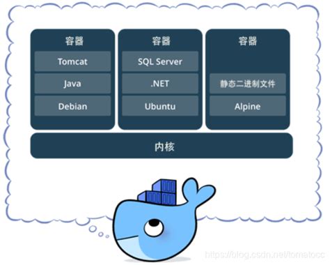 《阿里云服务器搭建》 Docker容器学习和搭建项目环境tomatocc的博客 Csdn博客云主机上创建容器环境