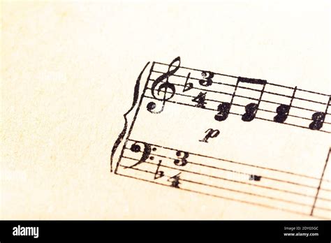 Simple Musical Notation Sheet Music Printed Notes Treble And Bass Clef And Symols Closeup