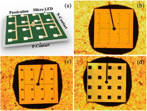 A Schematic Of Layout For 4 × 4 Si Substrate Micro Led Array Optical Download Scientific