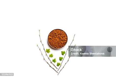 차가 버섯 둥근 그릇에 자작 나무 곰팡이 Chaga의 작은 건조 조각의 구성과 자작 나무 나뭇 가지와 건포도 잎 흰색 배경에 고립 대체 자연 의학의 개념 0명에 대한 스톡