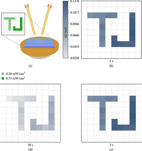 Retina Inspired Organic Heterojunction Based Optoelectronic Synapses For Artificial Visual