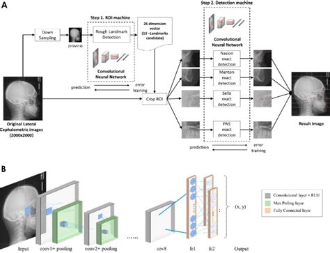 the structure of the proposed fully automatic landmark detection model