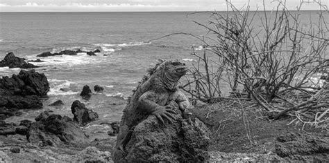 Cleaning Up Deprecated Models Using Dbt In Azure Synapse