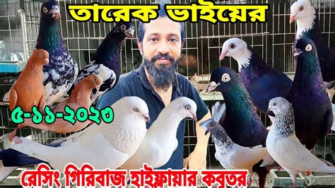 তারেক ভাইয়ের হাই ফ্লাইয়ার রেসিং গিরিবাজ কবুতর কিনুন Youtube