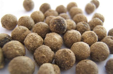 Өвөр Монгол иргэний хууль бус үйлдлийг таслан зогсоожээ