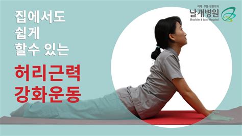 집에서 쉽게 할수 있는 허리근력강화훈련 날개병원 Youtube