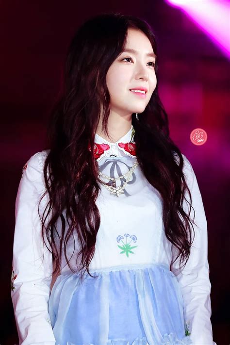 레드벨벳 양갈래 아이린  인스티즈 Instiz 이슈 카테고리