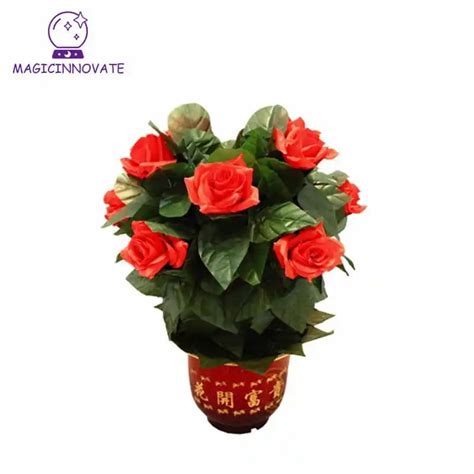 꽃이 피는 장미 부시 원격 제어 장미 마술 트릭 환상 결혼식 발렌타인데이 선물 10 꽃