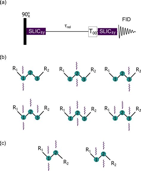 A Generic Pulse Sequence For Single And Poly SLIC Where Selective RF Download Scientific