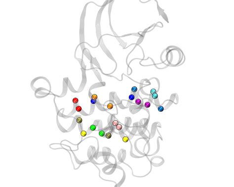 30 The Structure Of Src Kinase With The 10 Additional Distances Download Scientific Diagram
