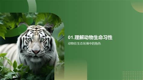 动物保护与生态平衡 Ppt模板下载
