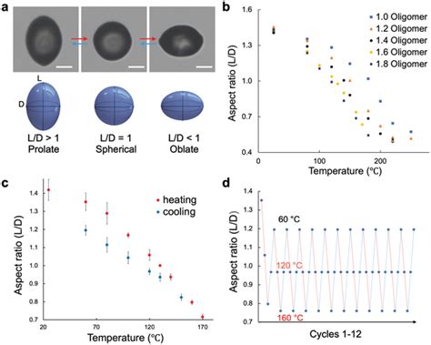 Reversible Shape Transformation Of Microparticles A Bright‐field Download Scientific Diagram