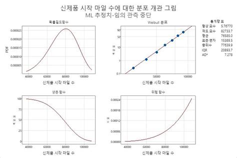 확률밀도함수 분포 개관 그림임의 관측 중단에 대한 모수 분석 Minitab