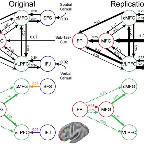 figure supplement 3 lpfc dynamic causal model replication left