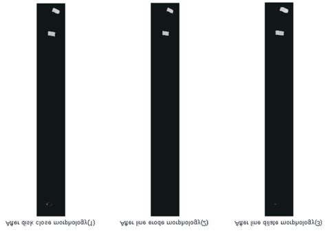 Three Continuous Morphological Operator S Application Disk Close Line