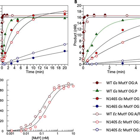 Glycosylase Activity And Substrate Affinity Of Asn To Ser Muty Download Scientific Diagram