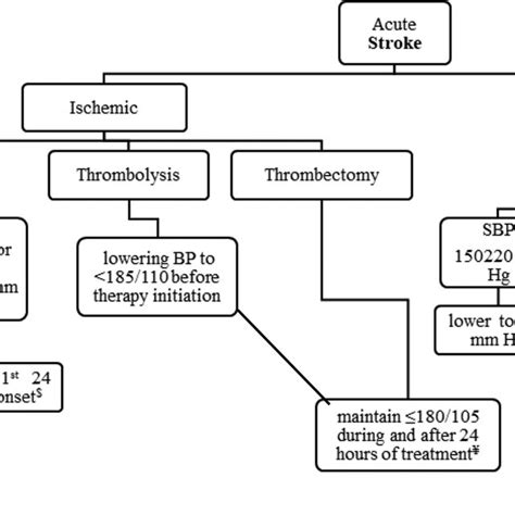 Algorithm For The Management Of Hypertension In Acute Stroke In Download Scientific Diagram