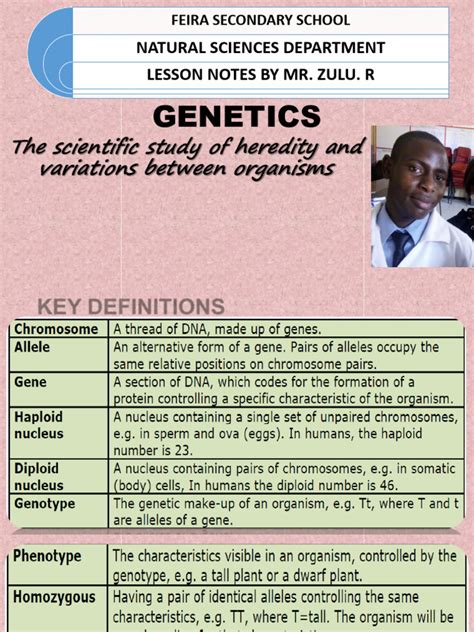 genetics incomplete notes pdf dominance genetics ploidy
