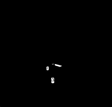 Side By Side Visualization Of A Polarization State Produced By Passing
