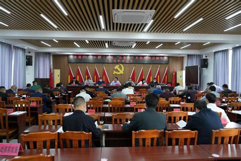 潭水镇：召开2022年村（社区、办事处）党组织书记抓党建工作述职评议会 阳春市人民政府门户网站