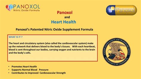 Ppt Panoxols Proprietary And Synergistic Powerpoint Presentation