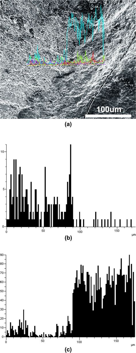 A Sem Microstructure Of Interface B Fe And C Si Alloying