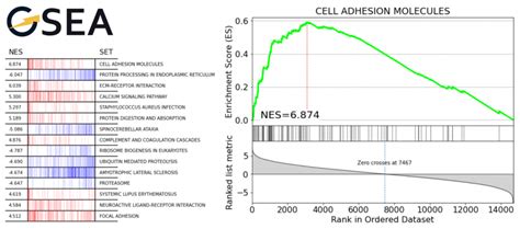 blitzgsea efficient computation of gene set enrichment analysis in python rna seq blog