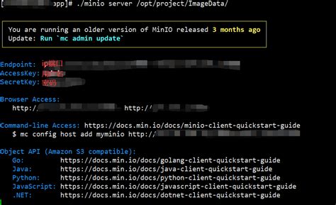 Minio The Access Key Id You Provided Does Not Exist In Our Records问题解决