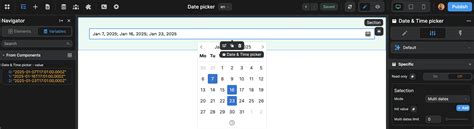 Date Pickers Documentation