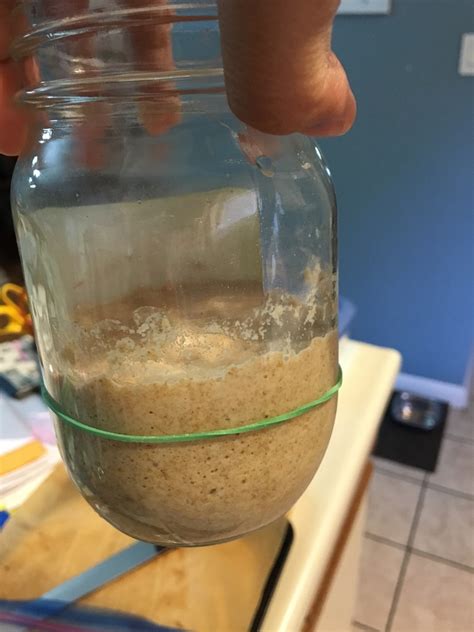 Sourdough Start And Restart And Starter Mit Admissions