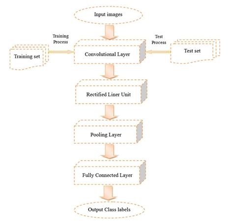 Rice Classification Workflow Download Scientific Diagram