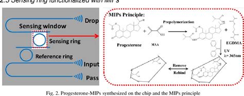 Figure 2 From Highly Sensitive Optical Biosensor Based On Equal Fsr Cascaded Microring Resonator