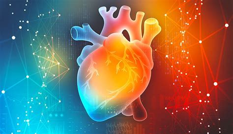 Mike Tamir Phd On Linkedin Aim Phd Track