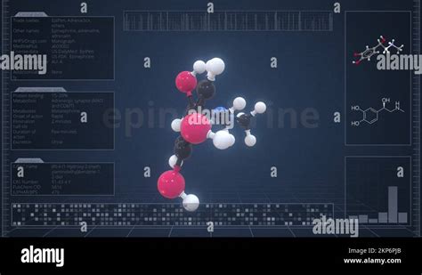 Overview Of The Molecule Of Epinephrine On The Computer Screen Loopable 3d Stock Video Footage