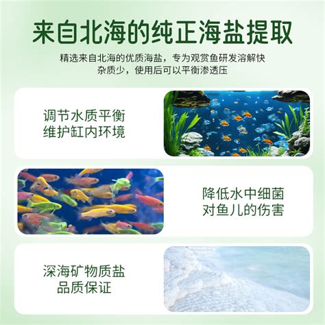 搞钱神器：拒绝焦虑，手把手教你用正确姿势赚钱 淘宝 淘宝百科网