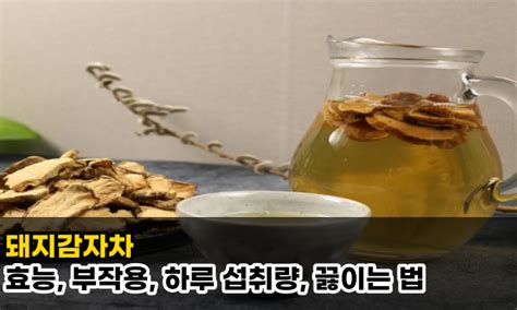 돼지감자차 효능 부작용 하루 섭취량 끓이는법